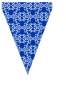 Arabesque Backstroke flag large with plastic insert - Agonswim.com