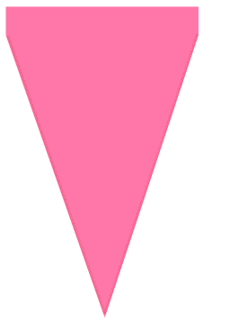 Solid Rose Backstroke flag extra large - Agonswim.com